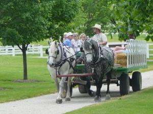 danada fall festival wheaton – DUPAGEBLOG.COM